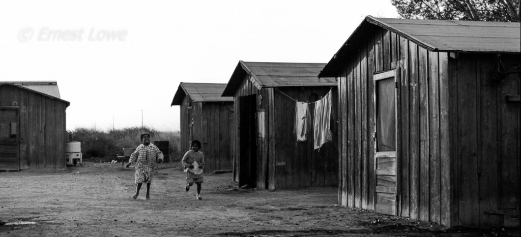 Playgrounds of the Poor - Harvesting my life